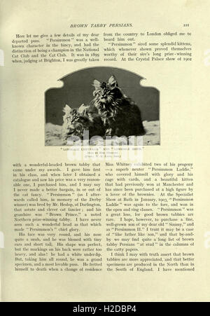 A comprehensive guide to cats, focusing on their natural history ...