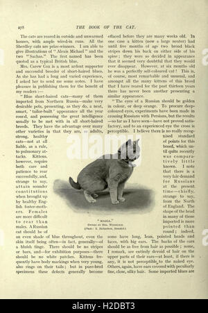 A comprehensive guide on domestic and wild cats, covering their ...