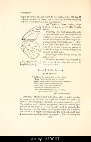 'The Butterfly Book' provides a comprehensive guide to the species of ...
