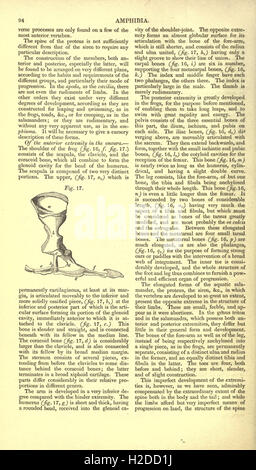 An in-depth reference work covering the anatomy and physiology of the ...