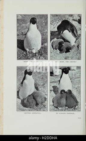 A narrative of early Antarctic exploration, detailing the journey and ...