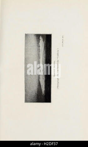 A narrative of the early Antarctic explorations, focusing on the ...