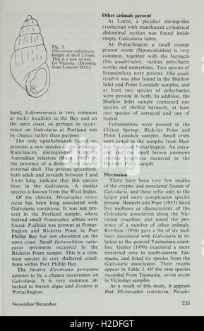 An article from 'The Victorian Naturalist,' a journal focused on ...