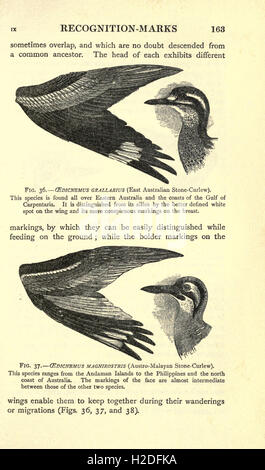 This page from 'The World of Life' explores the diversity of life forms ...