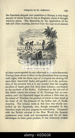 A detailed examination of the history and cultivation of tobacco in the ...