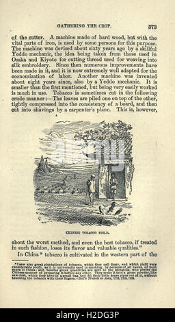 This work discusses the history and significance of tobacco cultivation ...