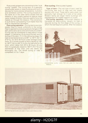This work discusses the history and significance of tobacco cultivation ...