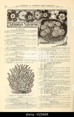 1894 garden and farm 1891 manual (Page 26 Stock Photo - Alamy