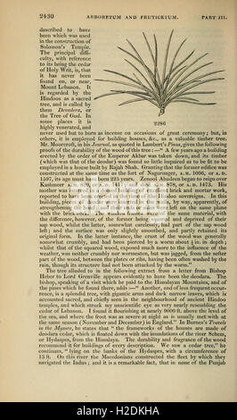 A comprehensive catalog of British trees and shrubs, detailing species ...