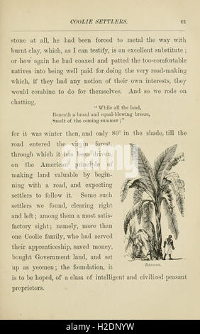 Self reflection leads to Personal growth. Cause and effect relation ...