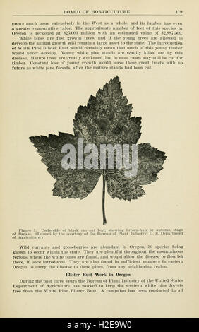 This biennial report from the Oregon State Board of Horticulture ...