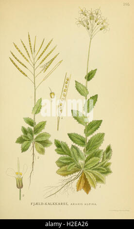 *Billeder af nordens flora* is an illustrated work depicting the flora ...