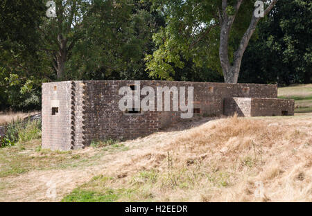 World War Two Pill box, covered in ivy. Dorset England. Now a home ...