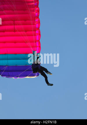 Parachute jumper in the air Stock Photo - Alamy