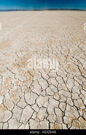 Cracked mud on dry lakebed of Rowles Lagoon, Credo Station, Western ...