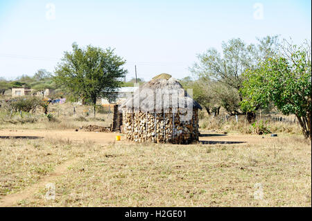 SWAZILAND, AFRICA - Roof construction of a traditional beehive hut made ...