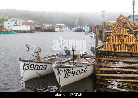 Fishing boats in the harbour at Trout River, Newfoundland Stock Photo ...