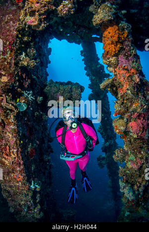 Female scuba diver explores the wreck of a WW2 Japanese freighter sunk ...