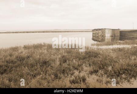 Scenic view of an old swamp shack on stilts in Caddo Lake, on the Texas ...