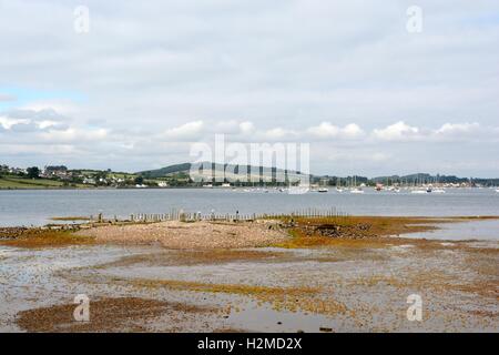 Dawlish Warren National Nature Reserve, Exe Estuary, Devon, England, UK ...