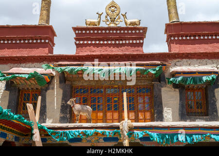 Ralung Monastery, Tibet, China Stock Photo - Alamy