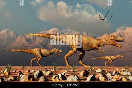Tyrannosaurus Rex hunting for its next meal Stock Photo - Alamy