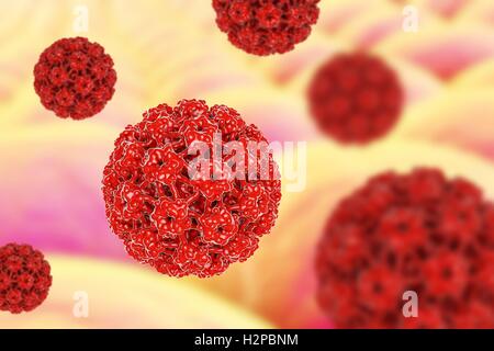 HPV Human Papilloma Virus capsid structure Stock Photo - Alamy