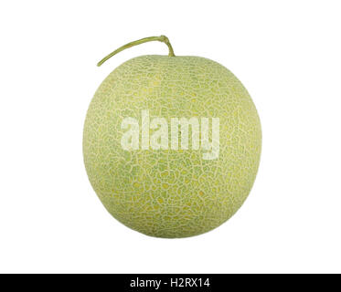 Close-up of green muskmelon with stem isolated on white background ...