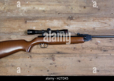 Air Rifle with a Telescopic Sight Stock Photo - Alamy