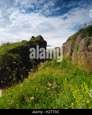 Pladda Island lighthouse in the distance, seen through a hole in the ...