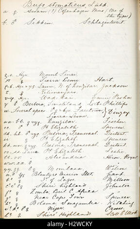 A catalog of the species of frogs and toads (Batrachia Salientia ...