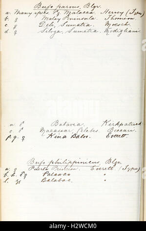 . Catalogue of the Batrachia salientia in the collection of the British ...