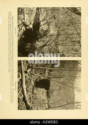 This work examines the cave-dwelling vertebrates of America ...