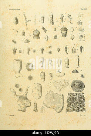 Sediment distribution, illustration Stock Photo - Alamy