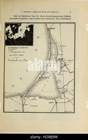 A study on the Rossitten Bird Observatory and the characteristics of ...
