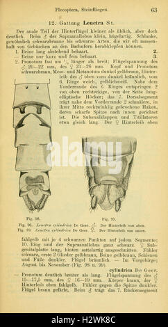 A detailed study of Ephemerida, Plecoptera, and Lepidoptera, presented ...
