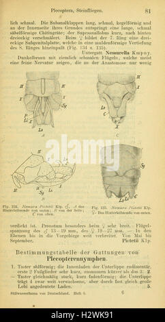 A catalog of insect species, including Ephemerida, Plecoptera, and ...