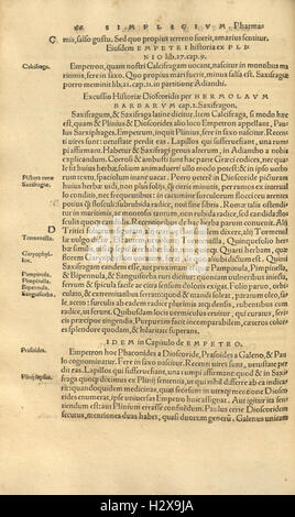 A detailed herbal catalog by Otto Brunfels, showcasing medicinal plants ...