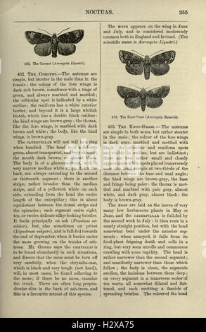 This book provides a detailed guide to the identification and ...