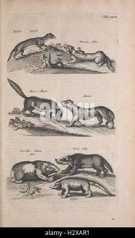 This illustration from 'Historiae naturalis' depicts various quadruped ...