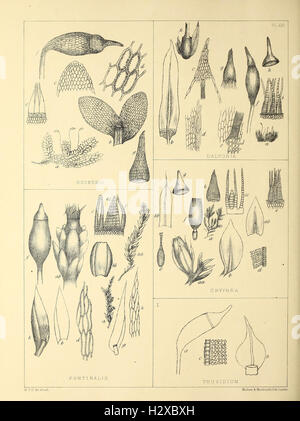 This work provides detailed illustrations and dissections of various ...