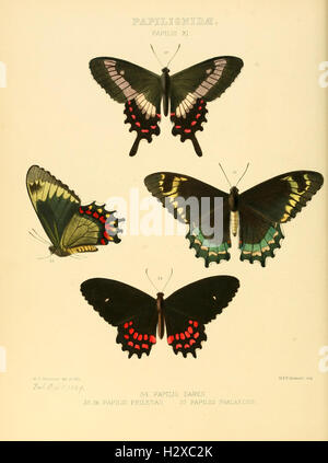 This work showcases the newly discovered species of exotic butterflies ...