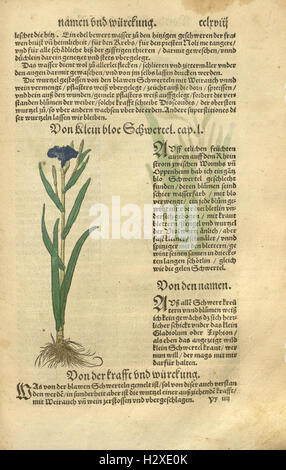 This German book discusses the classification, effects, and names of ...