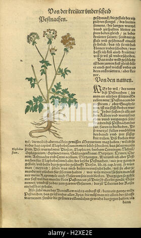 This book details the classification, effects, and names of plants that ...