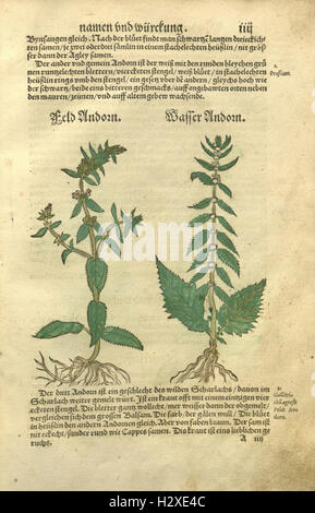 This book details the classification, effects, and names of plants that ...