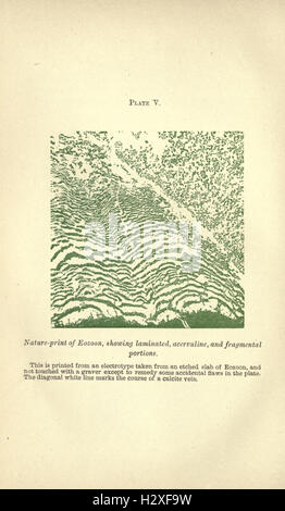 This text explores the origins of life on Earth, discussing theories ...