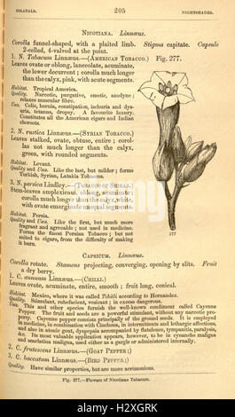 This botanical work addresses the medical and economic uses of plants ...