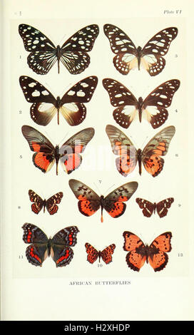 A study on the phenomenon of mimicry in butterflies, exploring how some ...