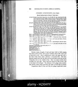'Monographs of North American Rodentia' offers a comprehensive study of ...