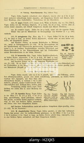 This journal focuses on natural history studies during the Victorian ...